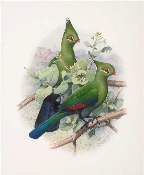 William T. Cooper | Livingstone's Turaco (1997) | MutualArt
