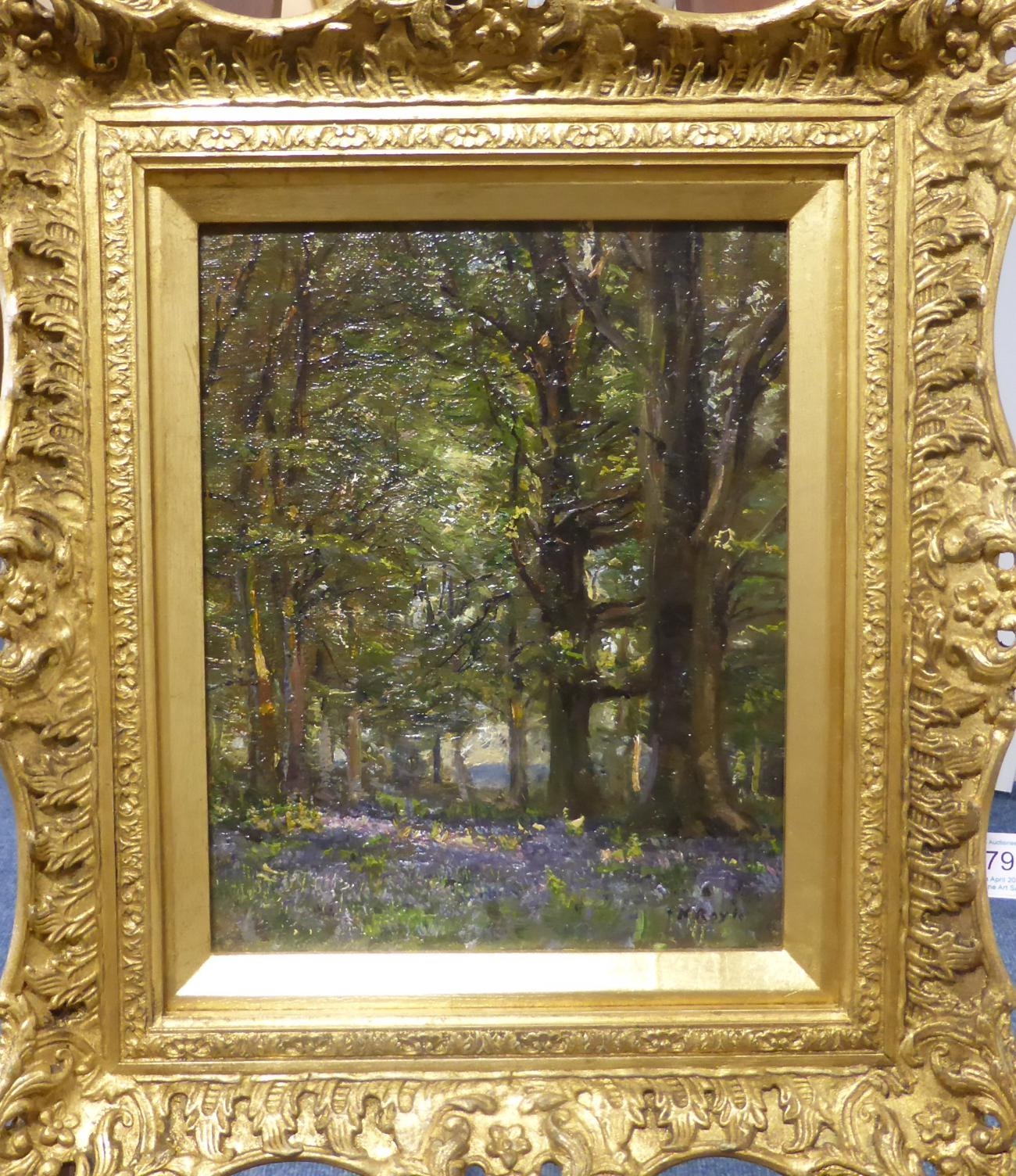 Herbert Royle | The bluebell woods at Nessfield | MutualArt