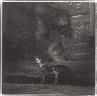 Keith Carter | Fireflies (1992) | MutualArt