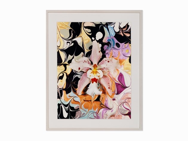 Christopher Beane | Hollywood Oncidium (2010) | MutualArt