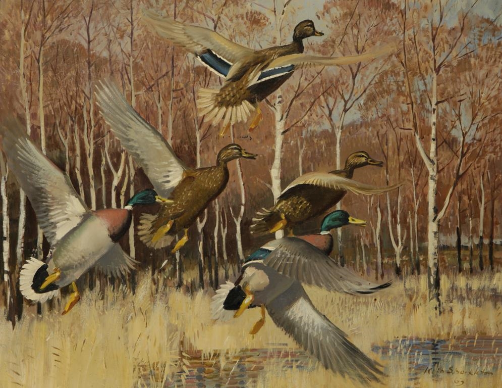 Keith Shackleton | After the Gale (1965) | MutualArt