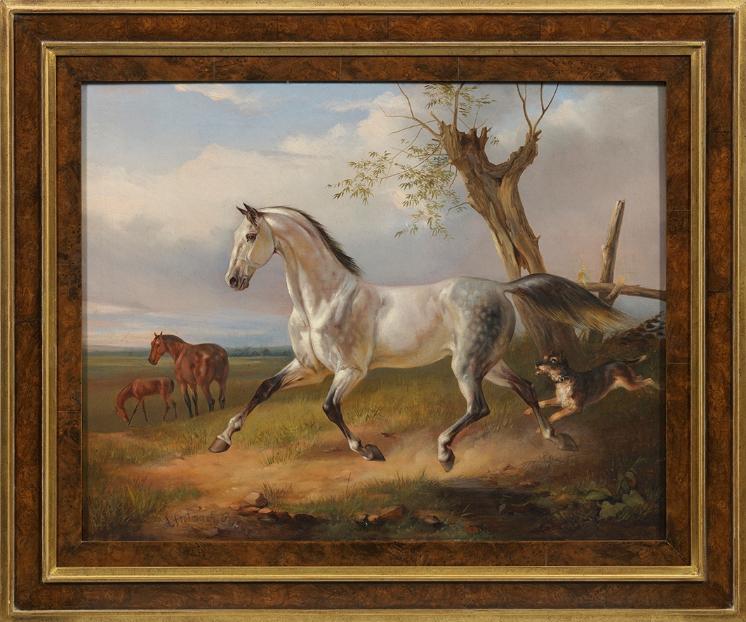 Victor Anton | Apfelschimmel mit Terrier auf der Pferdeweide | MutualArt