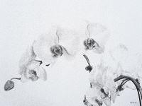 Chak Man Lei | Artist Overview | MutualArt