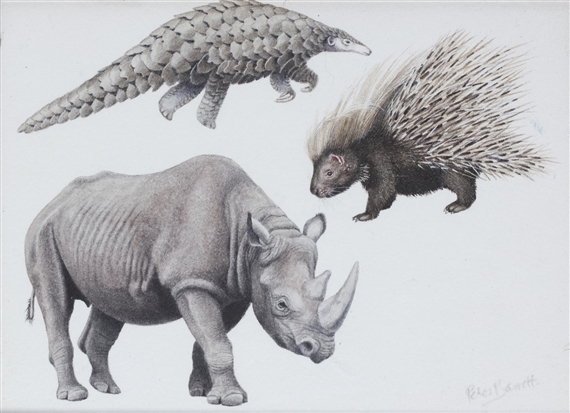 Peter Barrett | A collection of thirty two watercolours of exotic and ...