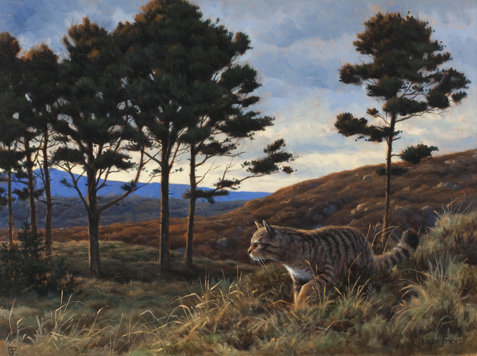 Julian Friers | Scottish Wildcat | MutualArt