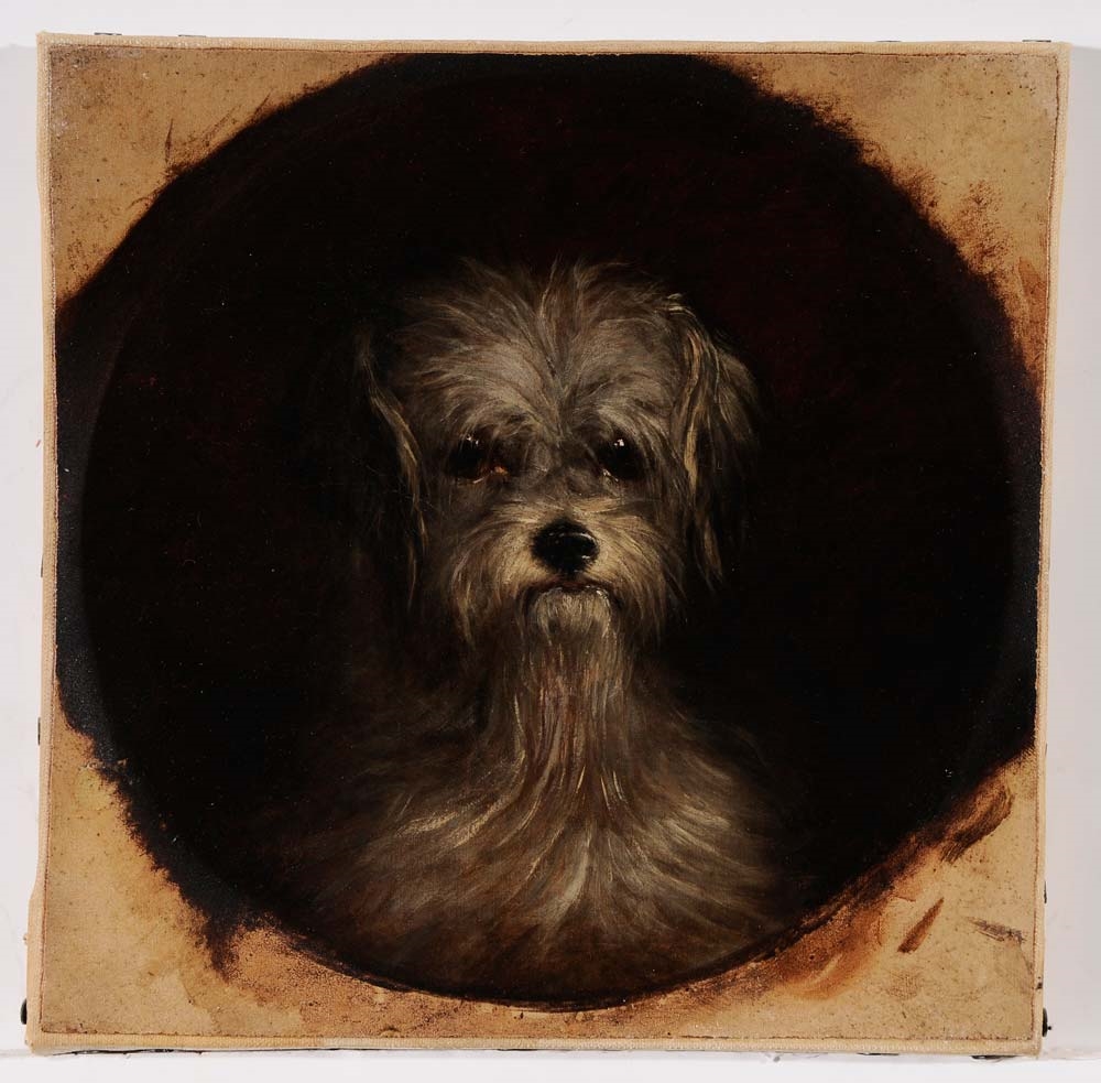 George Earl | Head Study of a Yorkshire Terrier | MutualArt