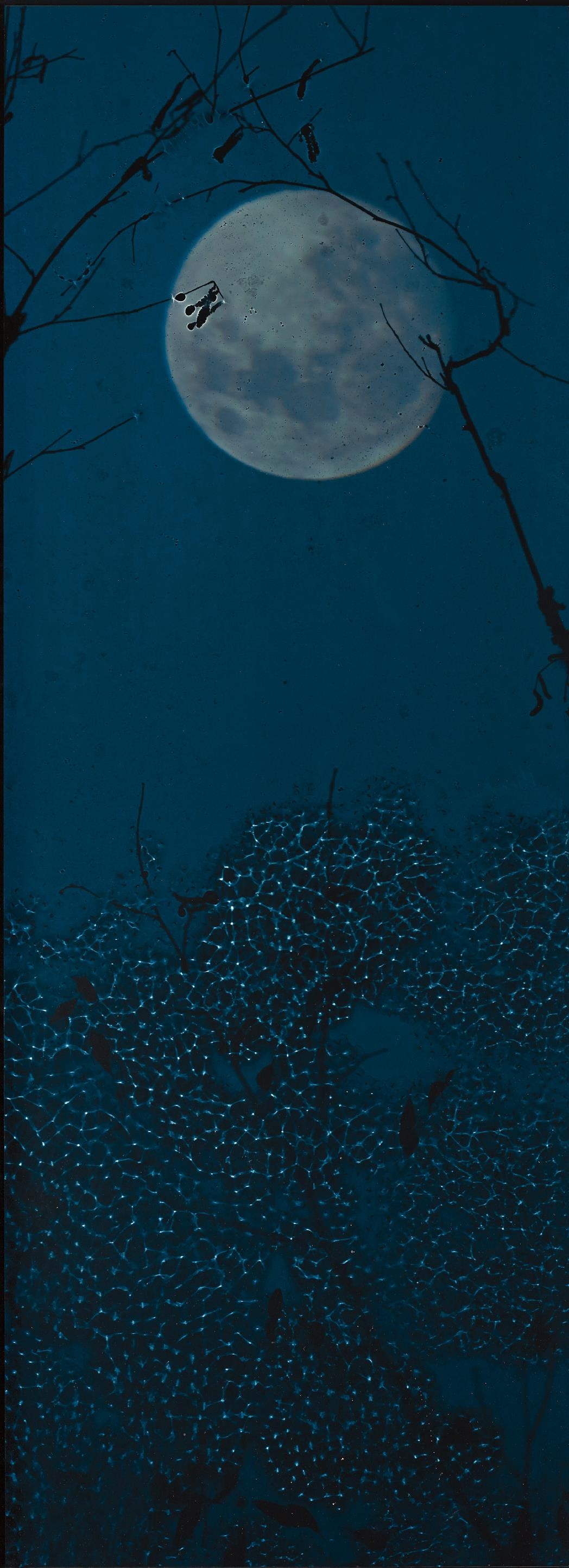 Susan Derges | Full Moon - Spawn (2004) | MutualArt