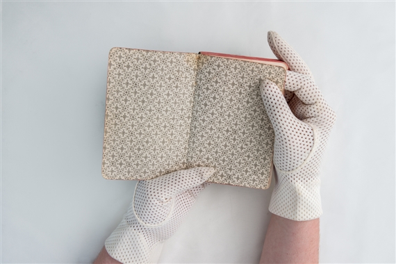 Julia Staples | Artist Overview | MutualArt