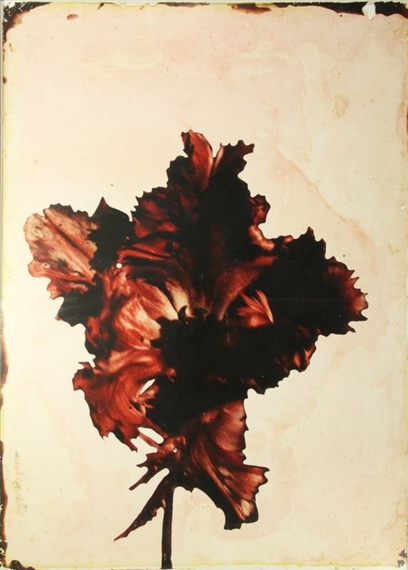 Leendert Blok | Rococo | MutualArt