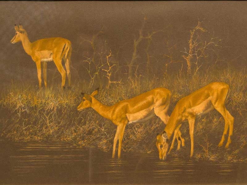 Martin Tose | Impala | MutualArt