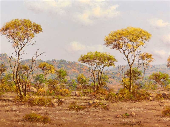 Henry Bredenkamp | 25 Artworks | MutualArt