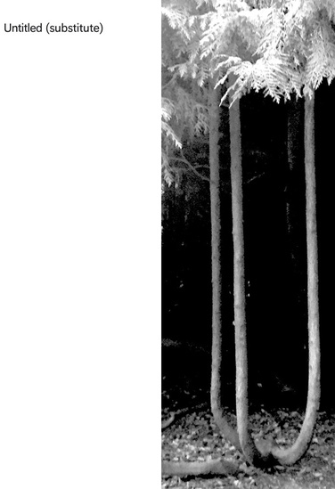 Stephanie Stein | Artist Overview | MutualArt