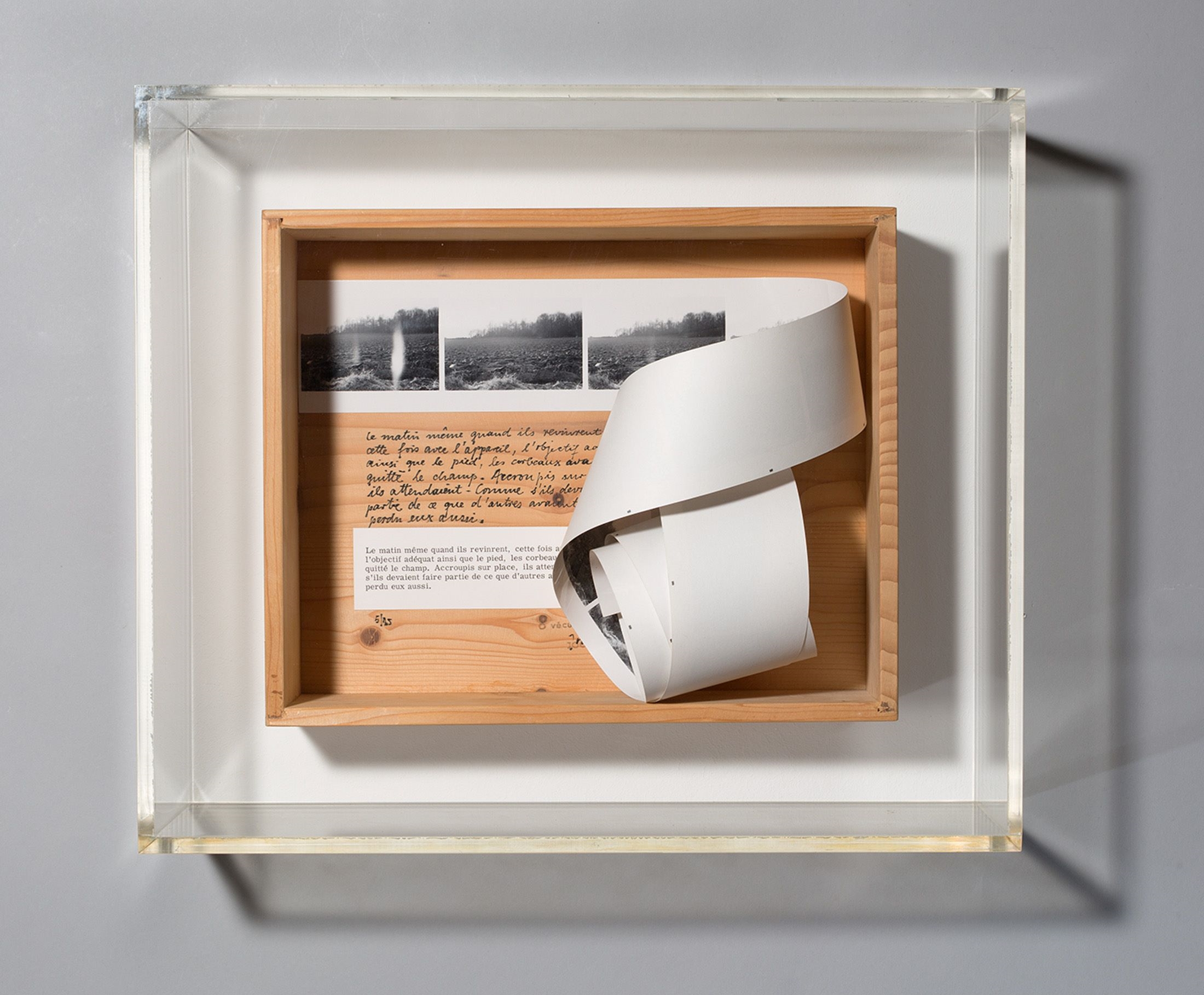 Jochen Gerz | Le concert des corbeaux (1973) | MutualArt