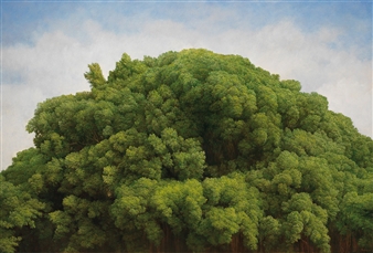 Tzu-Chi Yeh | Big Banyan Tree (2013 - 2014) | MutualArt