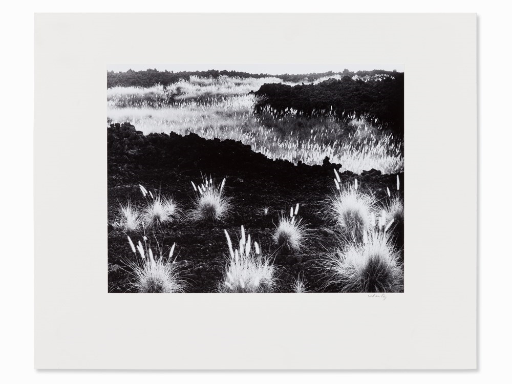 Robert Werling | Hawaii | MutualArt