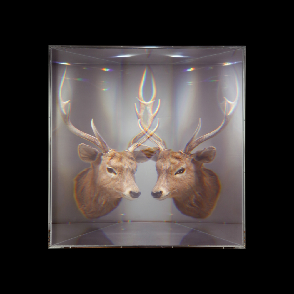 Kohei Nawa | PIXCELL[DEER] (2008) | MutualArt