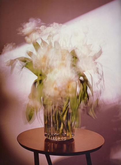 Michael Wesely | White Tulips (1997 - 1998) | MutualArt