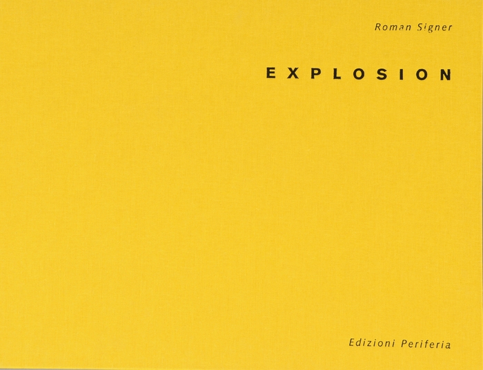 Roman Signer | Explosion (1995) | MutualArt