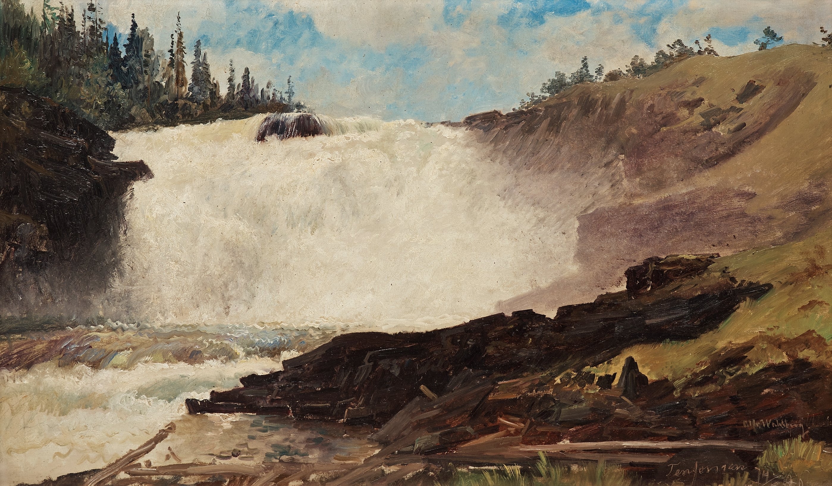 Herman Alfred Leonard Wahlberg | Tännforsen | MutualArt