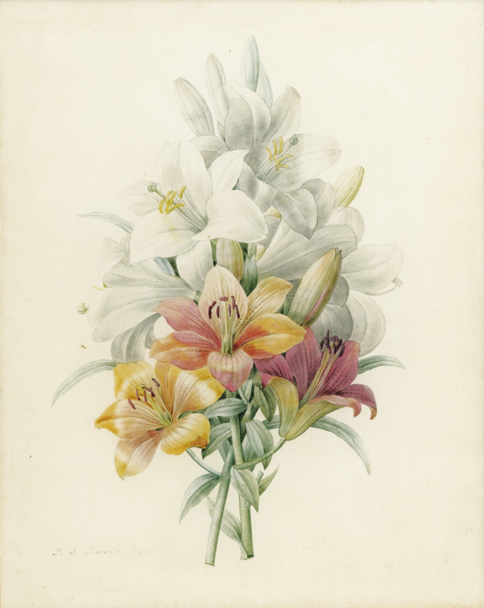 Pierre-Joseph Redoute | BOUQUET DE FLEURS (1835) | MutualArt