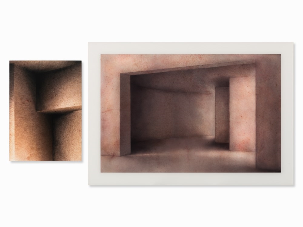 Aziz + Cucher | Interiors (1999 - 2001) | MutualArt