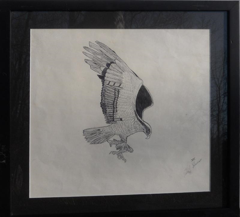 Arthur Shawcross | Bird of Prey with Fish | MutualArt