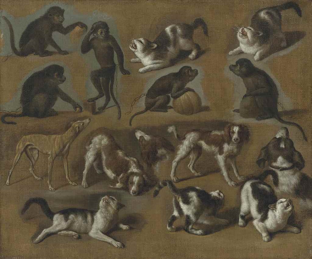 Jan van Pee | A study of cats, monkeys and dogs | MutualArt