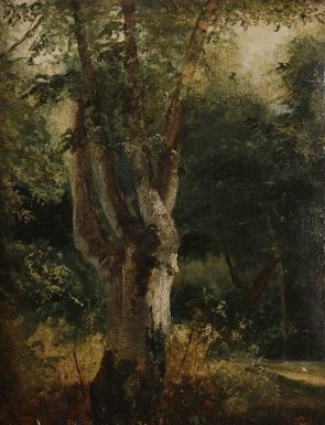 André Giroux | Arbre. | MutualArt