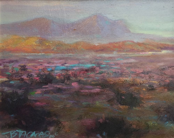 Barry Thomas - MutualArt