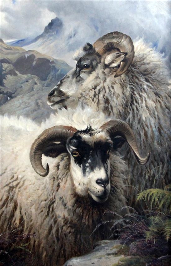 Thomas George Cooper | Sheep on a Mountainside (1891) | MutualArt