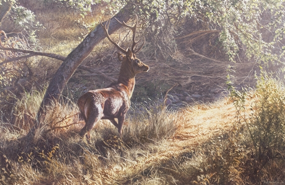Paul Augustinus | On the forest Edge, Red Deer | MutualArt