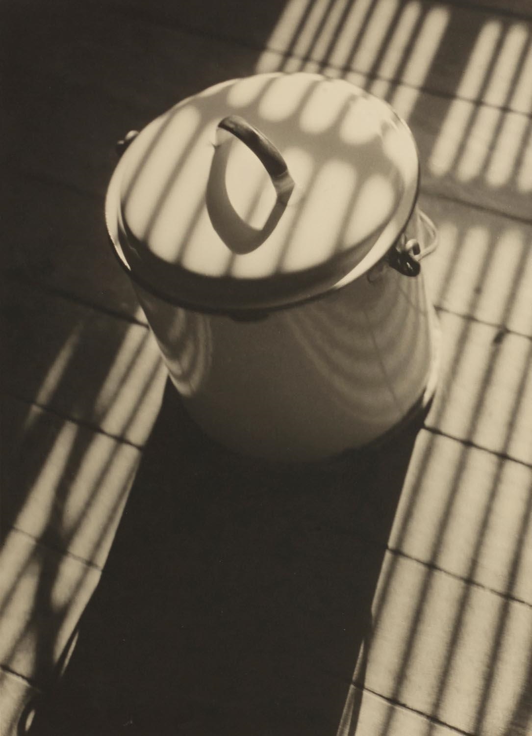 Max Dupain | Still Life | MutualArt