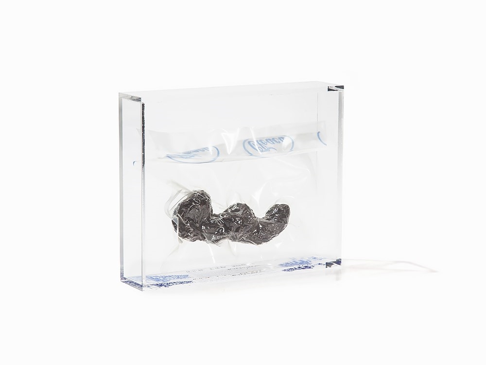 Wim Delvoye | Cloaca Faeces Cyber Box (2000) | MutualArt