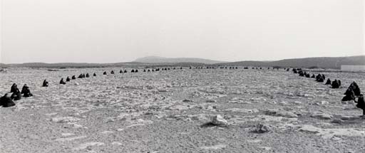 Shirin Neshat | Untitled (Zarin Series) (2005) | MutualArt