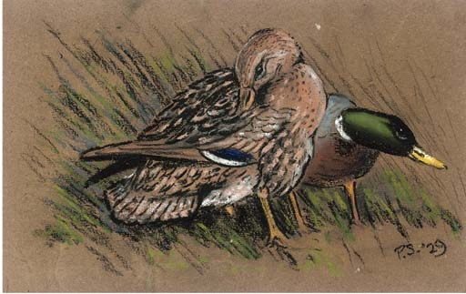 Peter Markham Scott | Preening mallards (1929) | MutualArt