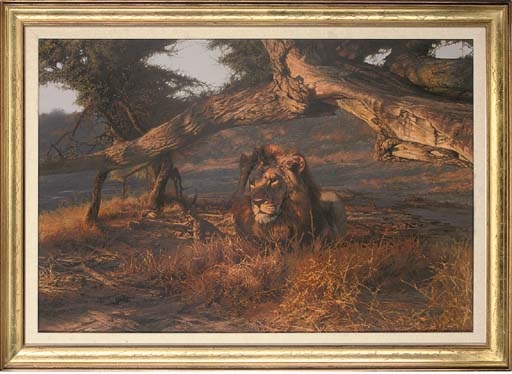 Paul Augustinus | Lion evening | MutualArt