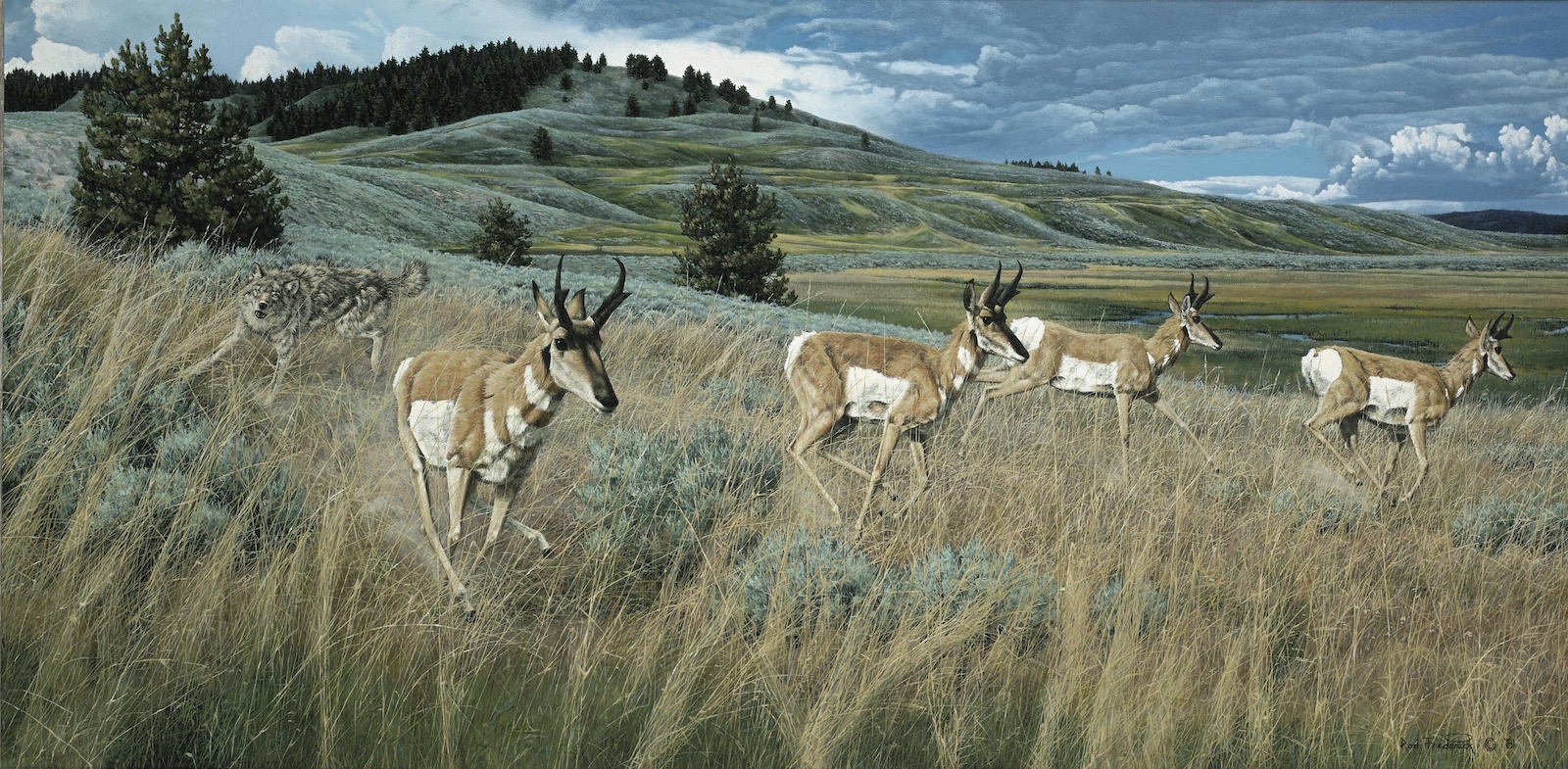 Rod Frederick | Wolf and pronghorn (1981) | MutualArt