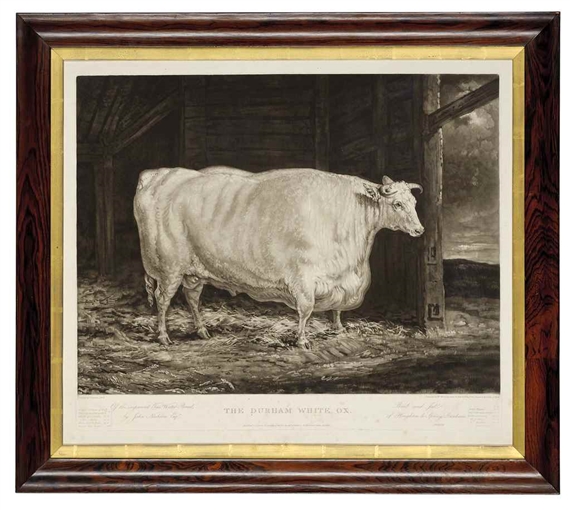 George Garrard | The Durham White Ox (1813) | MutualArt