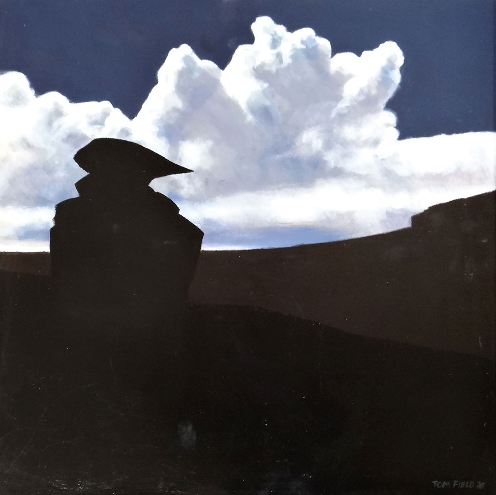 Tom Field | Barewood Skies (1976) | MutualArt