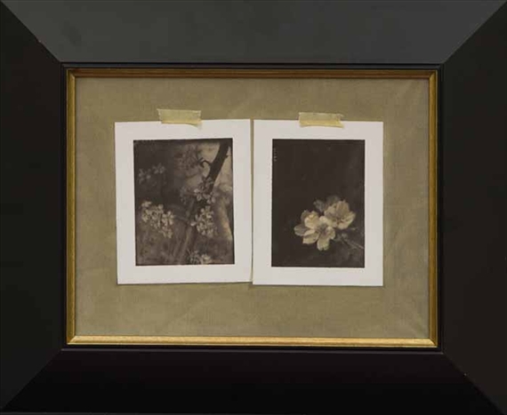 Paul Telford | 3 Artworks at Auction | MutualArt