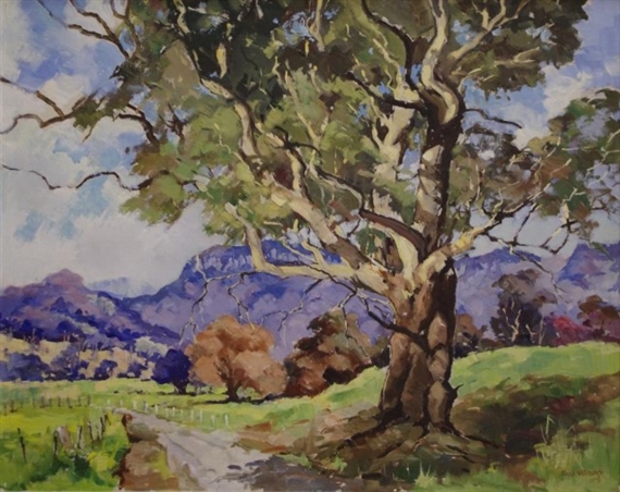Rhys Williams | Australian Landscape | MutualArt