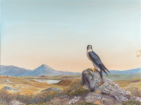 Gerald King | Peregrine Falcon | MutualArt