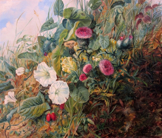 George Clare | Wildflowers | MutualArt