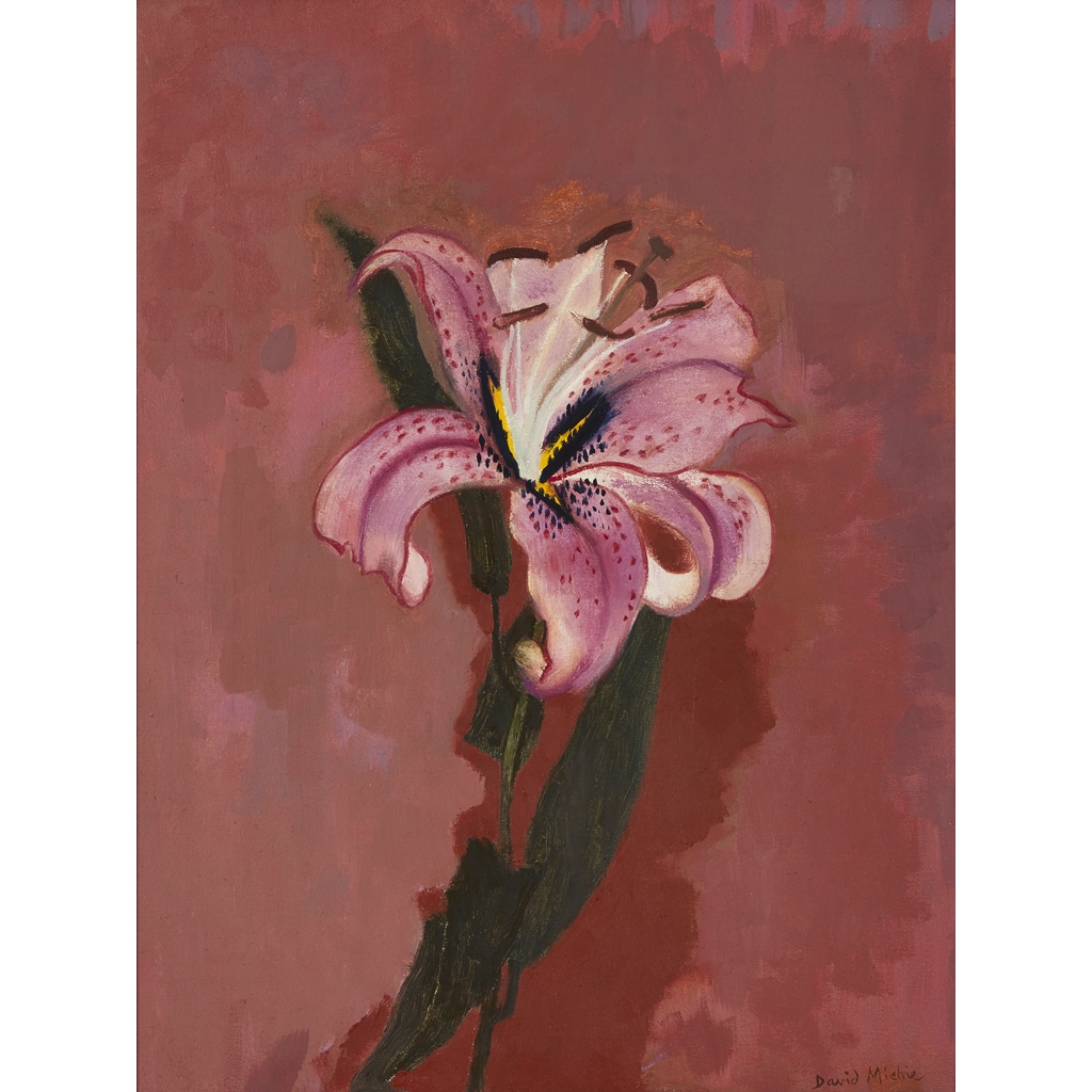 David Michie | LILY | MutualArt