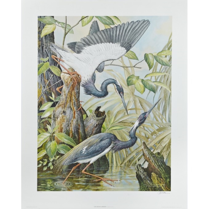 Basil Ede | Louisiana Heron (1983) | MutualArt