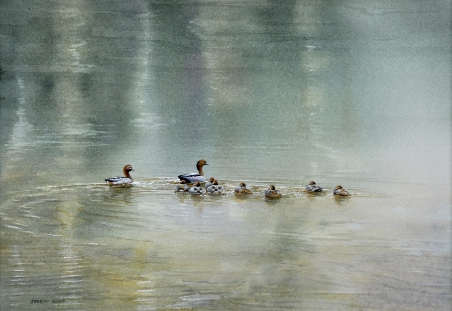 Jeremy Boot | Wood Duck | MutualArt