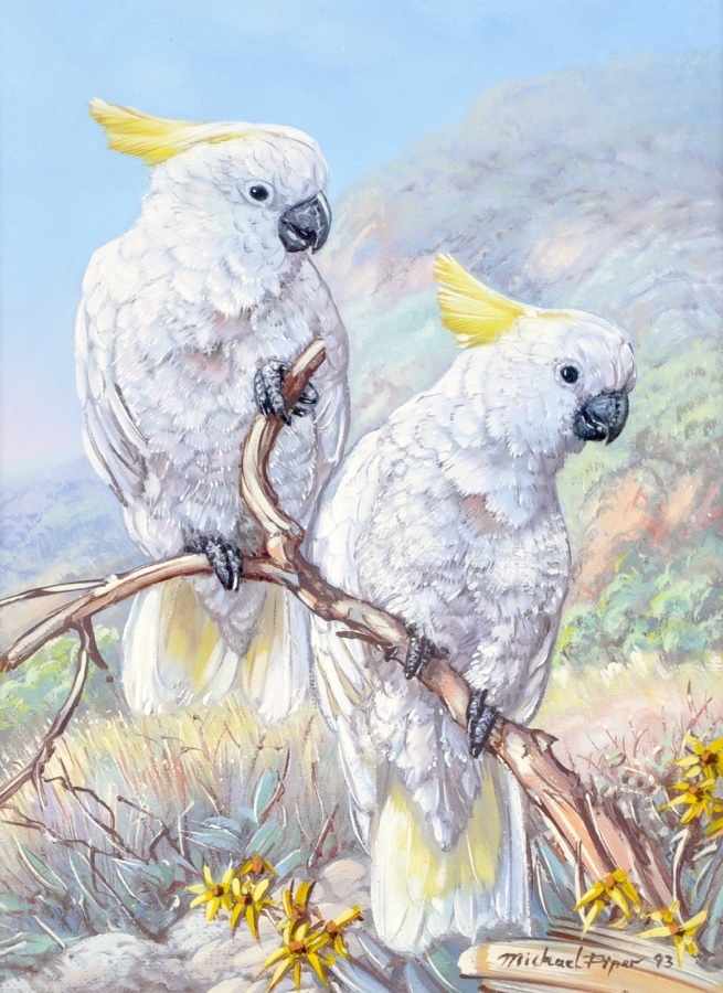 Michael Piper | Major Mitchells | MutualArt