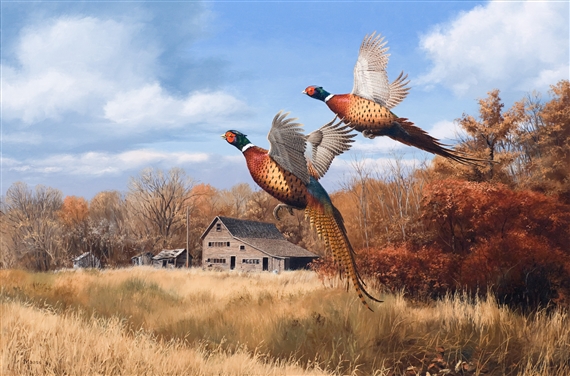 David Maass | Pheasants | MutualArt