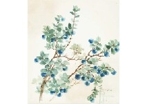 Ragusa Tama | Grass and Tree | MutualArt