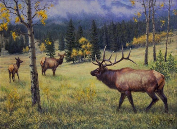 Bruce Pierce | Fall Attraction on Spanish Creek | MutualArt